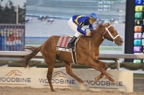 LEAVES – Canadian Thoroughbred