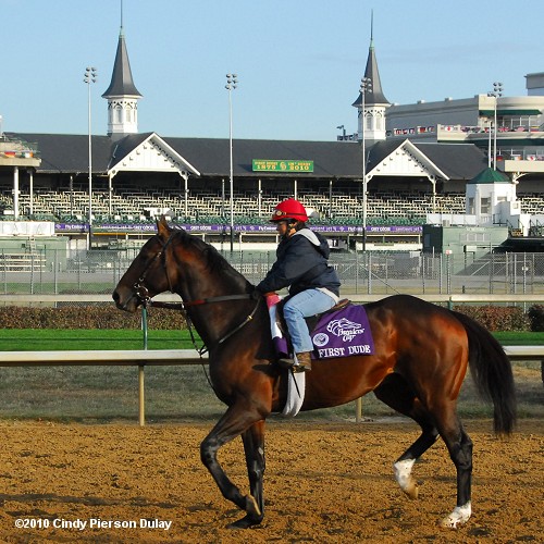 LARGE – Canadian Thoroughbred