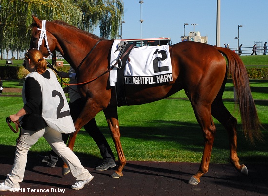 GATHER – Canadian Thoroughbred