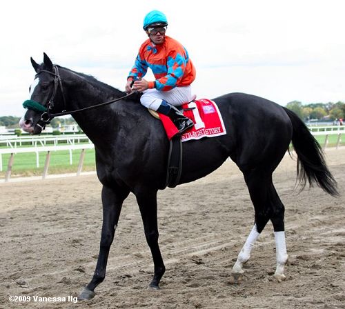 KICK – Canadian Thoroughbred